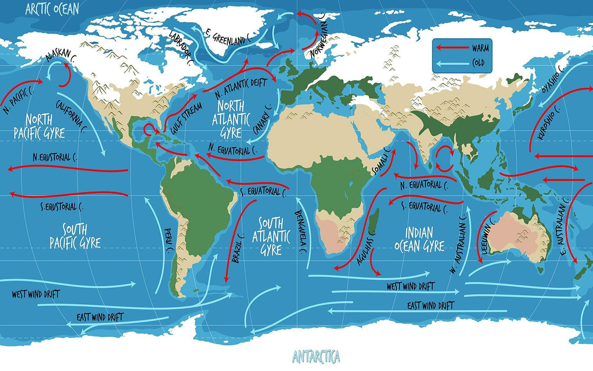 World Map Ocean Currents Wallpaper Mural - Removable Traditional ...