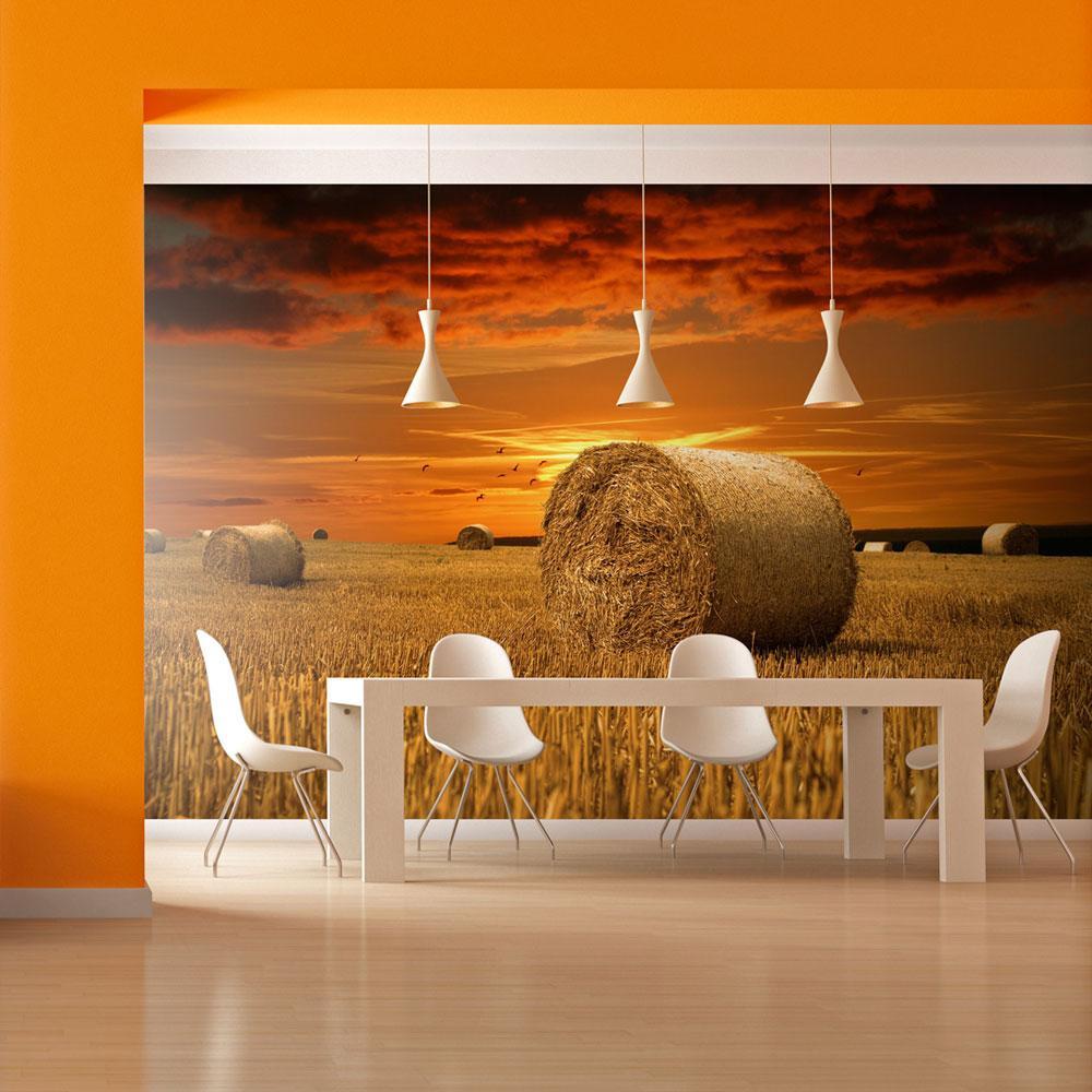 Landscape Wallpaper Wall Mural - Fields Of Gold – Tiptophomedecor