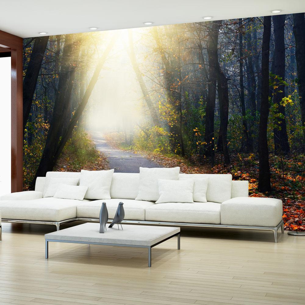 Landscape Wallpaper Wall Mural - Road Through The Forest – Tiptophomedecor