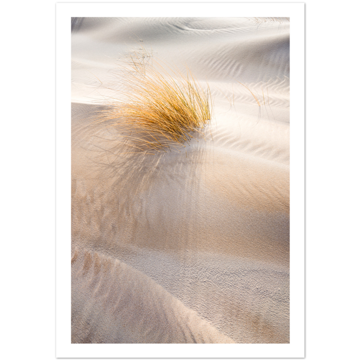 Sand Dunes Landscape Poster – Tiptophomedecor